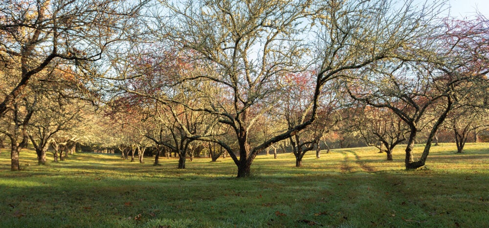 East Farm – Agricultural Experiment Station