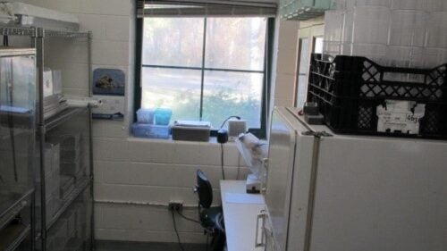 About – Biocontrol Lab