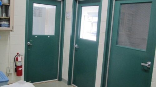 About – Biocontrol Lab