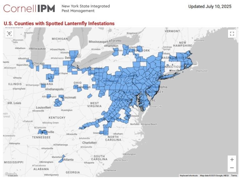 Distribution and Spread – Biocontrol Lab