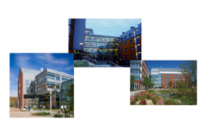 Office of Capital Projects