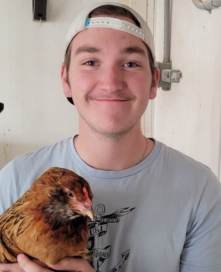 URI Students Train Chickens for Animal Behavioral Research – College of ...