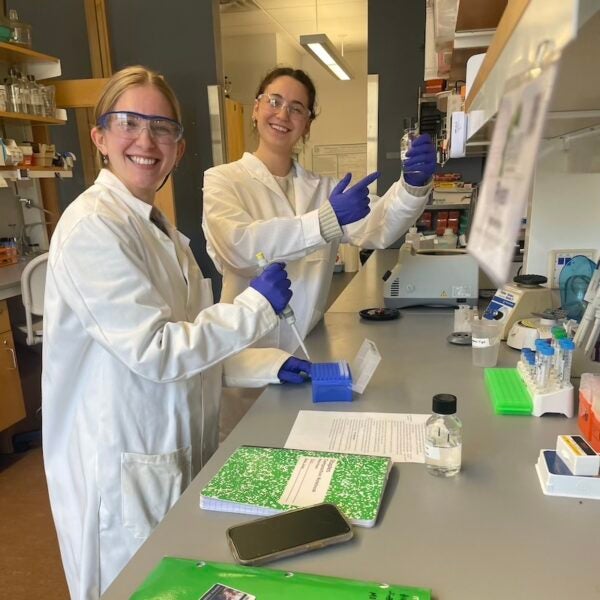 College of the Environment and Life Sciences