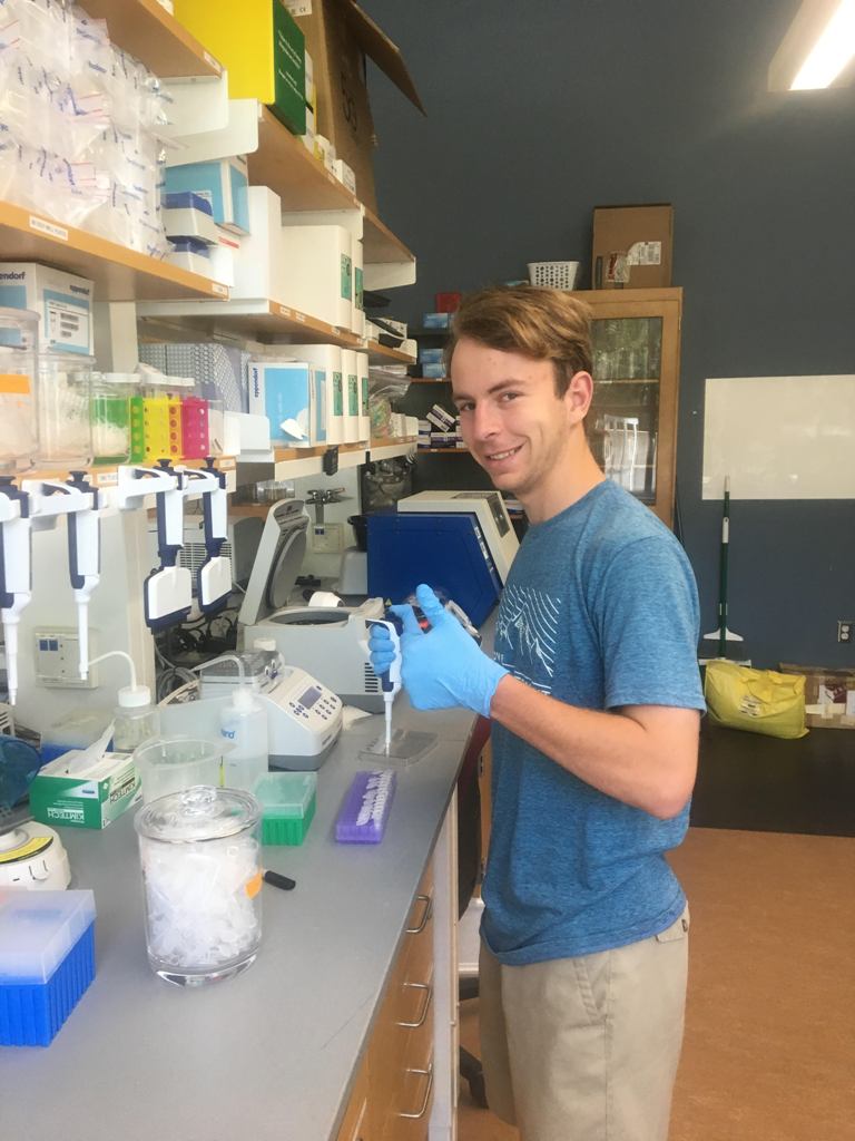 RNA-seq data uncovers cryptic species of coral symbionts and determines ...