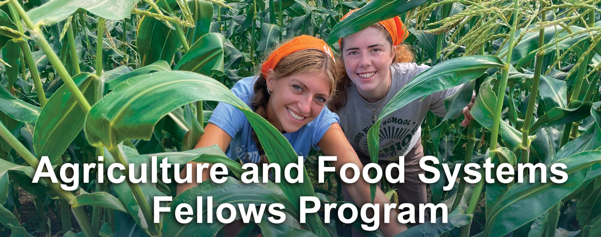 Agriculture and Food Systems Fellows Program – Cooperative Extension