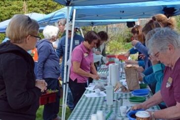 Gardening Information and Soil Testing (GIST) – Cooperative Extension