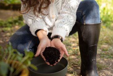 Gardening Information and Soil Testing (GIST) – Cooperative Extension