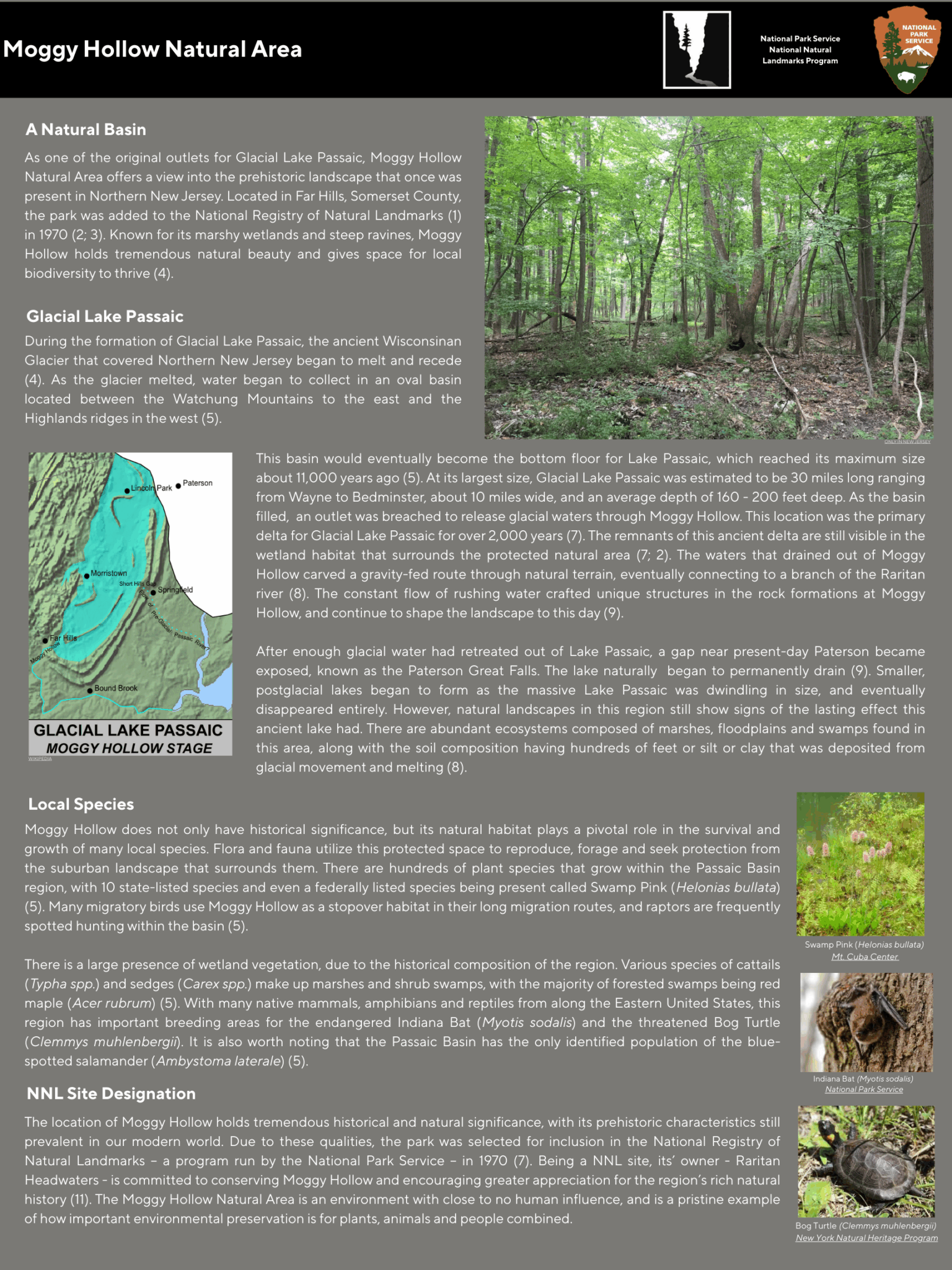 Moggy Hollow Natural Area – A National Natural Landmark Location ...