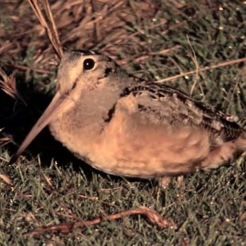 News and Events – Graduate School