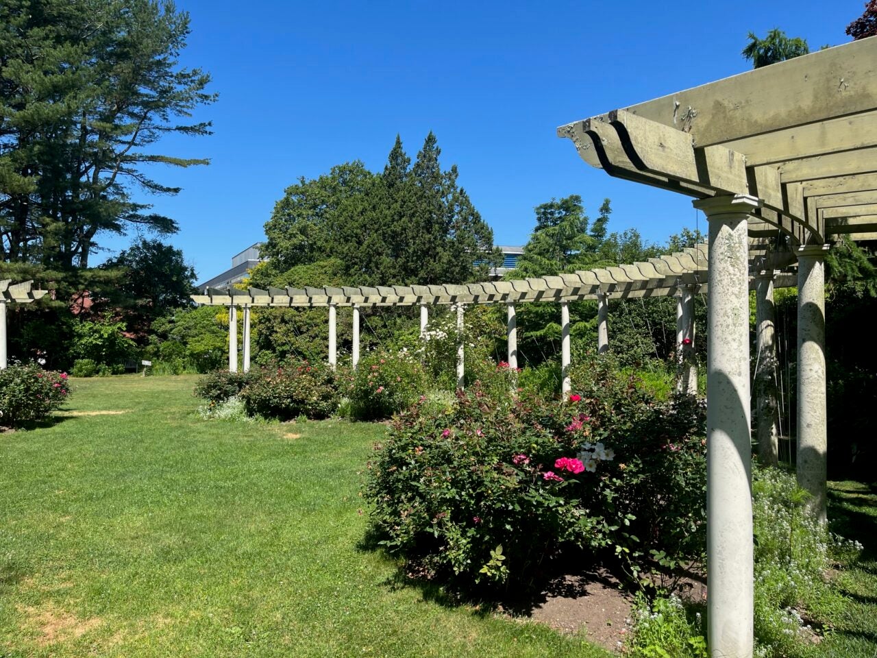 URI Gardens – URI Greenhouse and Horridge Conservatory