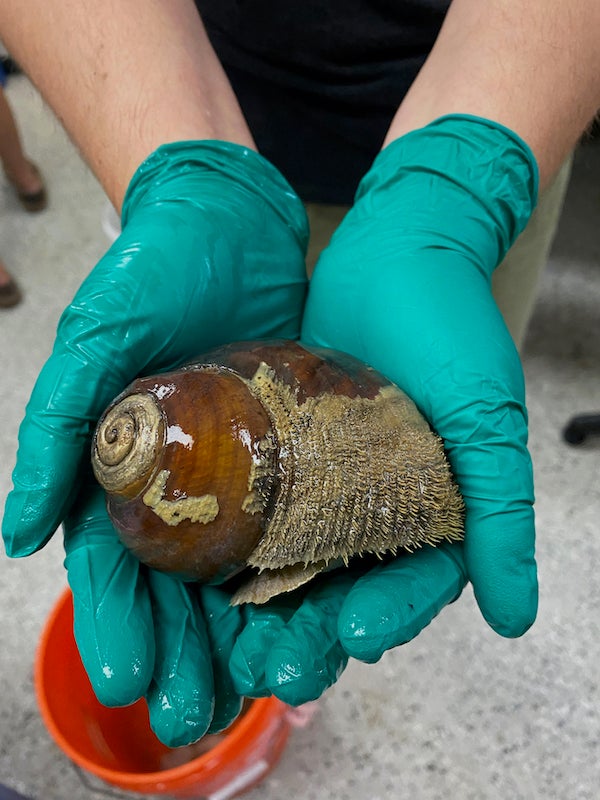 Exploring how bacteria and deep-sea life survive together – Graduate ...
