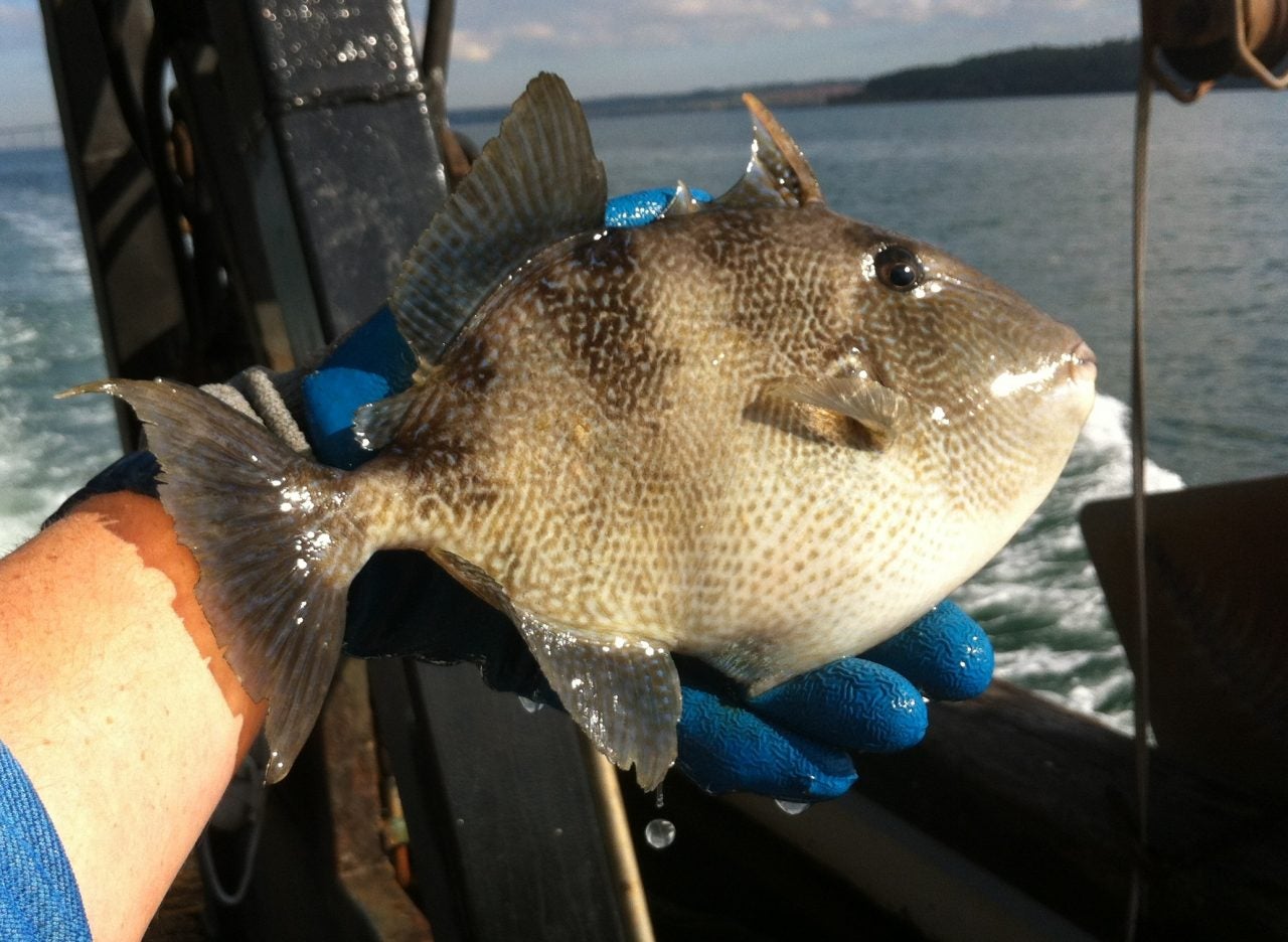 Species – Graduate School of Oceanography