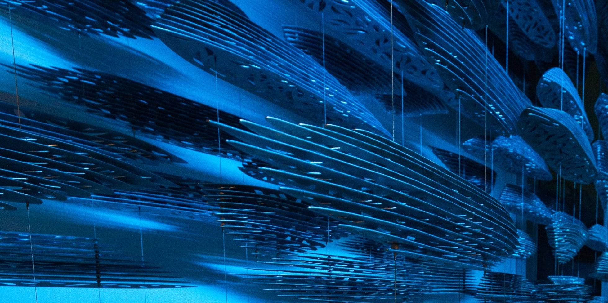 Ocean View Art Competition & Exhibition – Graduate School of Oceanography