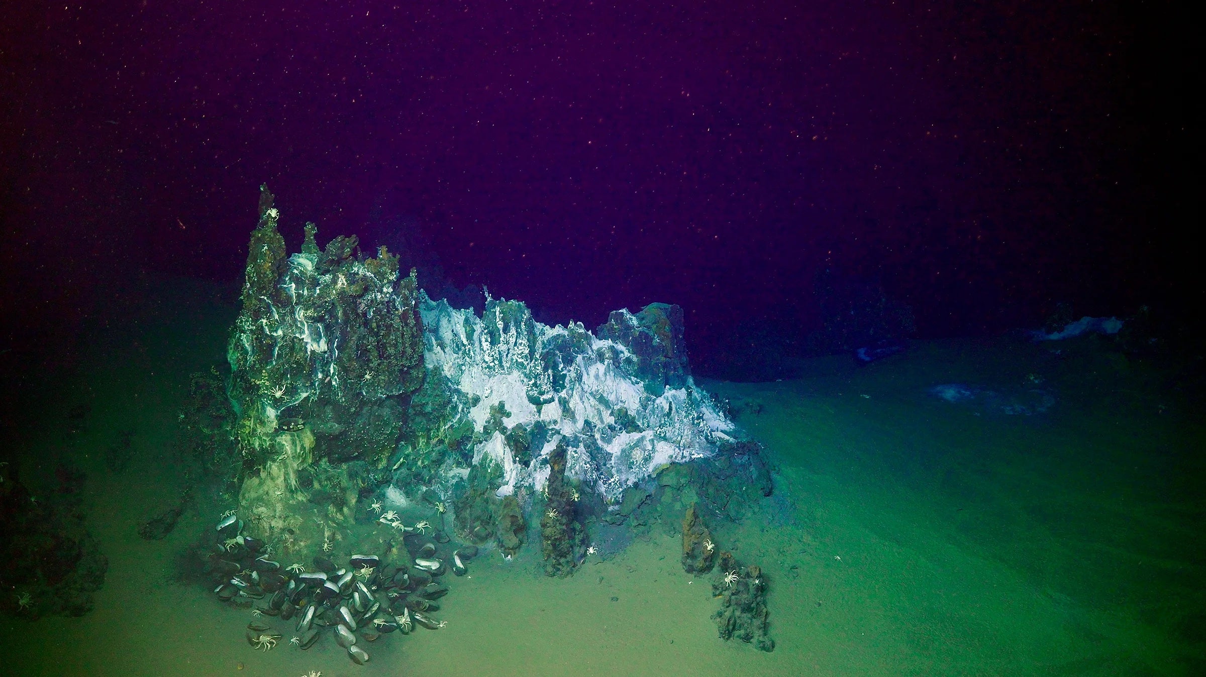 Seafloor life devastated near explosive volcanic eruption in Pacific ...