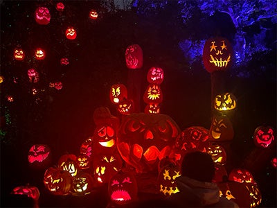 Traditions: Spooky Edition – Inside Rec Blog