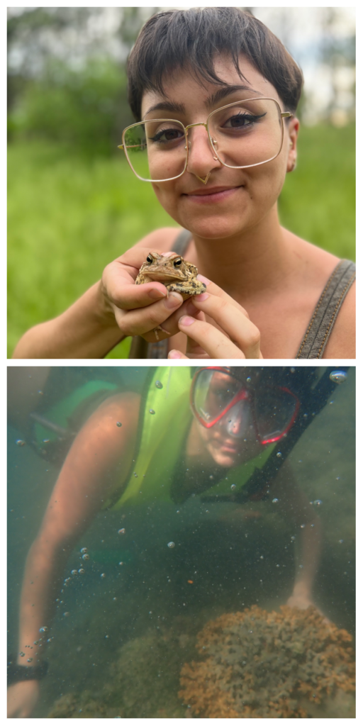 Alex Sinno Menden Deuer Plankton Ecology Lab