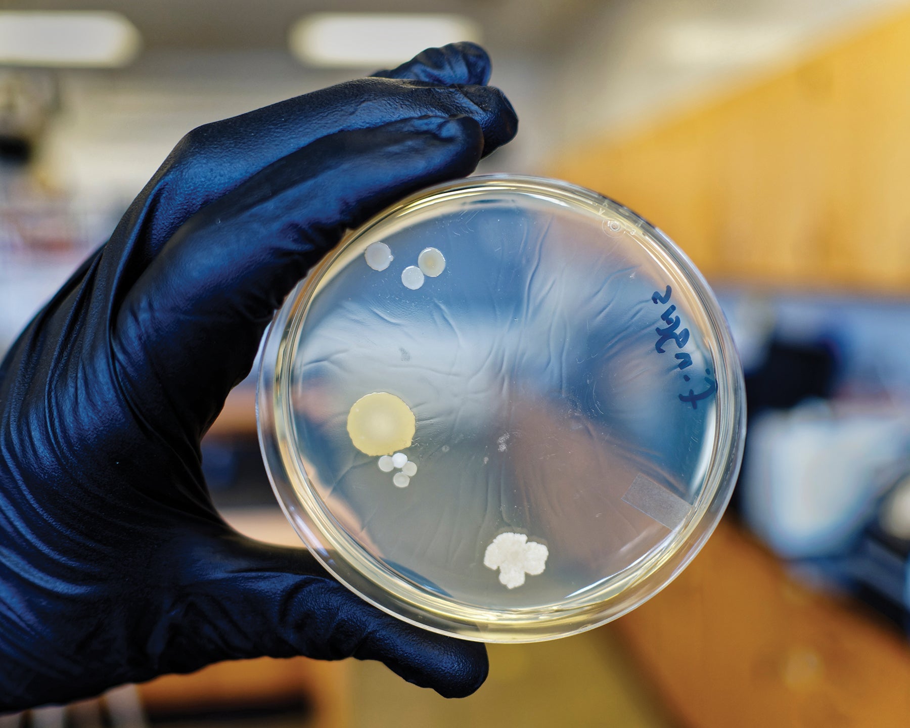 Two URI Professors honored as AAAS Fellows – Momentum: Research and ...