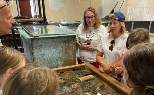 Naval Science and Technology