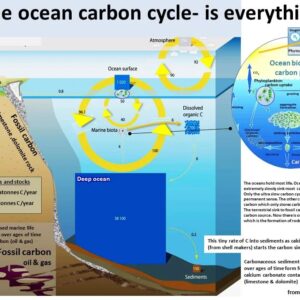 Department of Ocean Engineering – College of Engineering