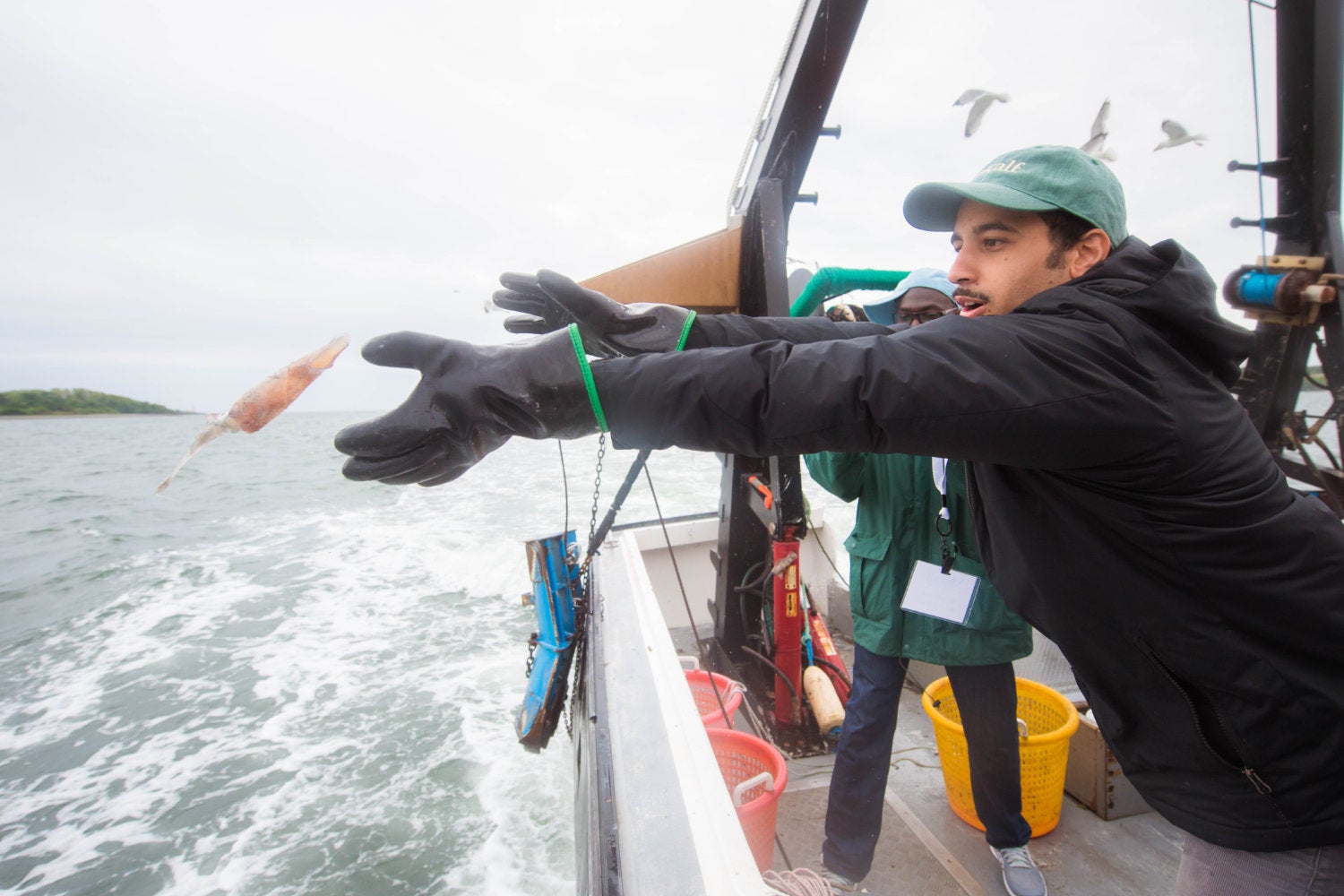 Research Strategies – Offshore Renewable Energy