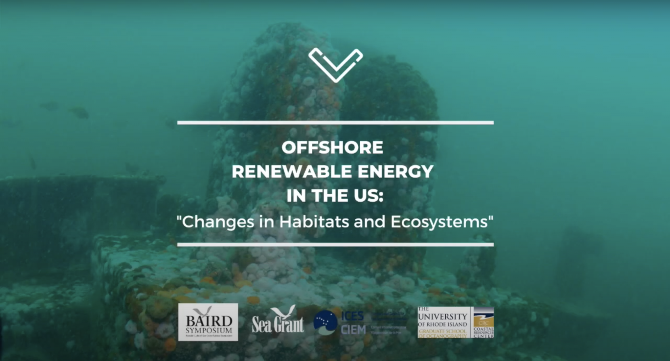 Ocean Floor (Benthic Zone) – Offshore Renewable Energy