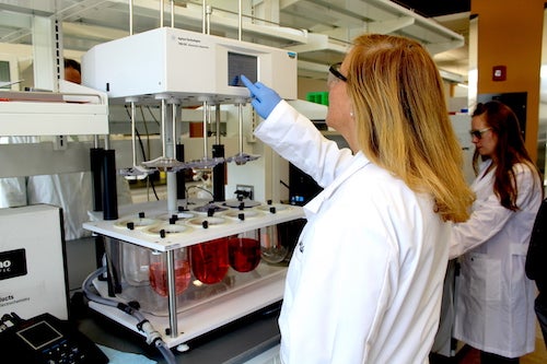 URI Pharmaceutical Development Institute to host open house in state-of ...