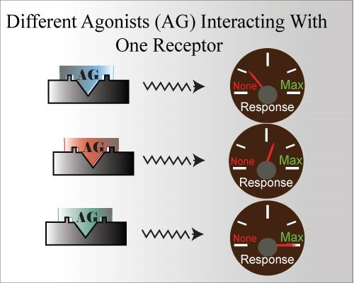 Model 33: Operational Model of Agonism – College of Pharmacy