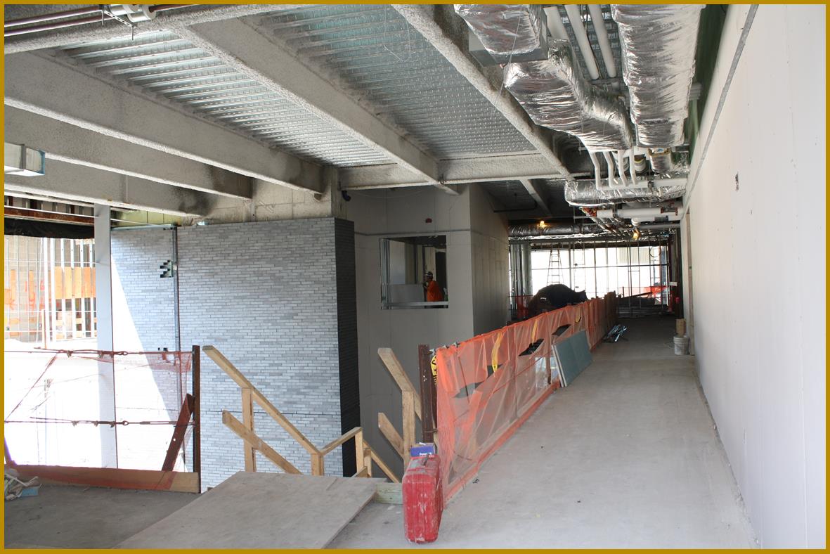 Under Construction: A Peek Inside the New Pharmacy Building – College ...
