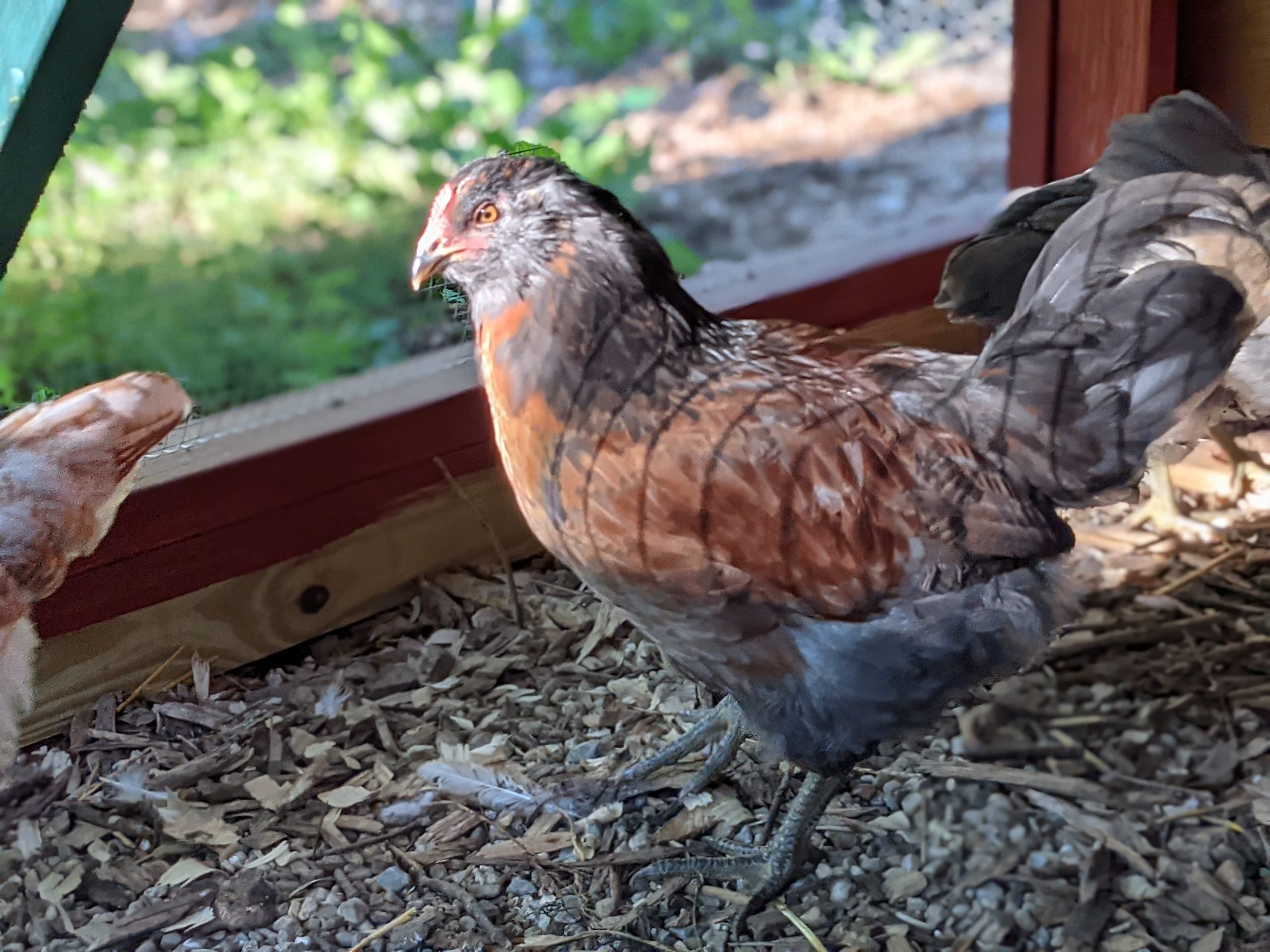 Robotics for Complex Underwater Environments – College of Engineering