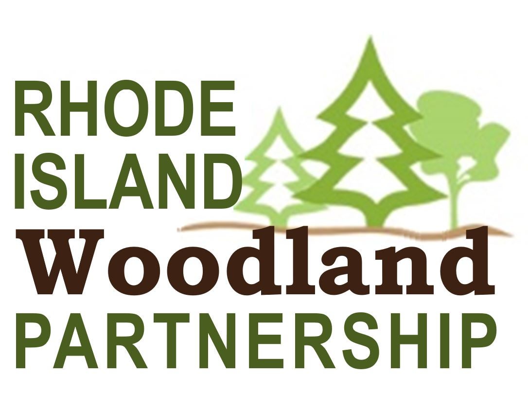 Forestry for Rhode Island Birds – Rhode Island Woods
