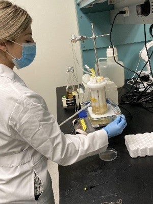 Antimicrobial Pharmacology – Rhode Island Infectious Diseases Research ...