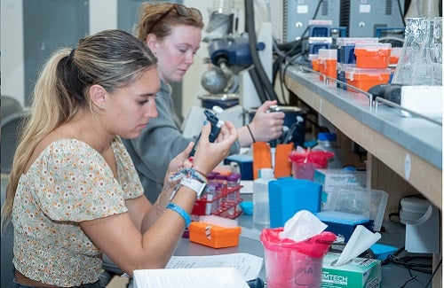 Workforce Development & Training News – Rhode Island IDeA Network of ...