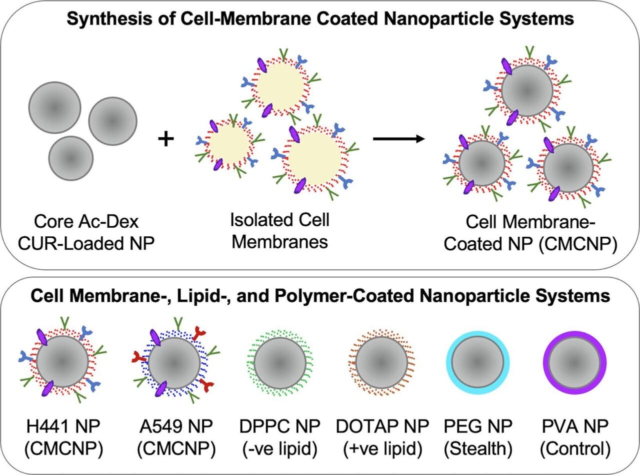 CRCF Instrumentation in Action – Rhode Island IDeA Network of ...