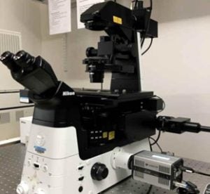 Microscopy & Imaging – Rhode Island IDeA Network of Biomedical Research ...