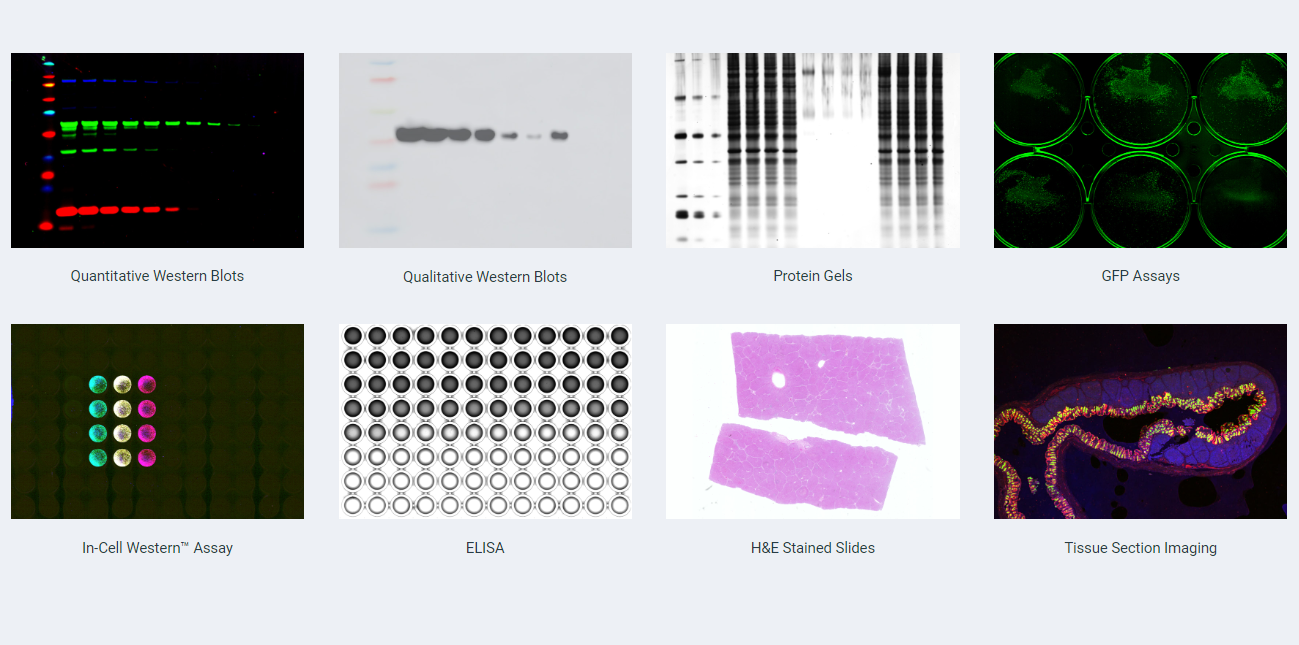 LI-COR Biosciences Odyssey M Imaging System Demo – Rhode Island IDeA ...