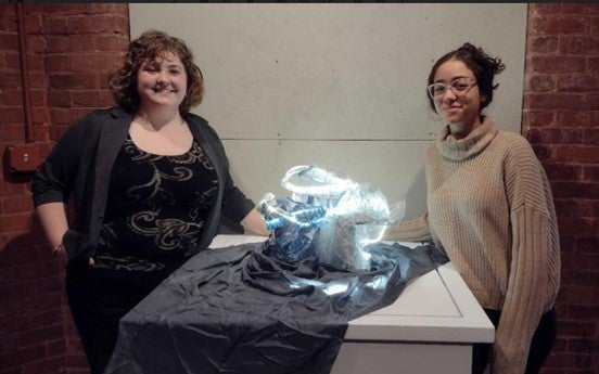 Rhode Island IDeA Network of Biomedical Research Excellence