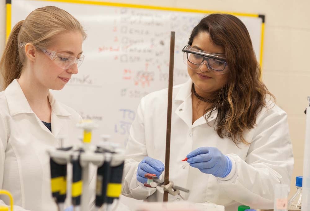 STAR Training Award – Rhode Island IDeA Network of Biomedical Research ...