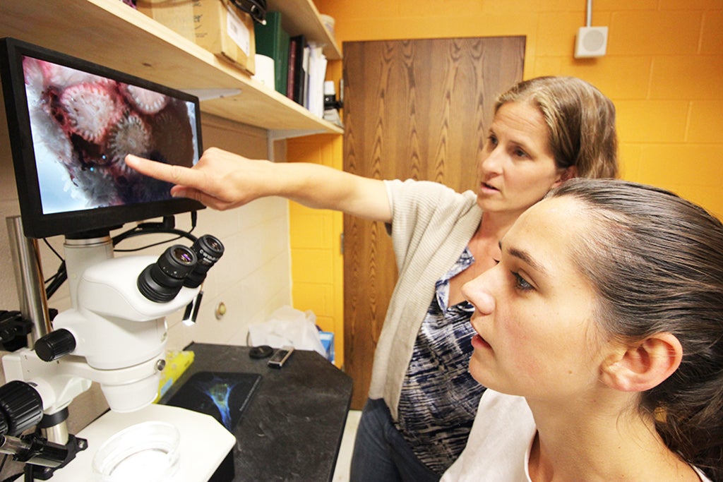 CB-15: Microbial Ecology of the Temperate Coral Astrangia poculata – RI ...