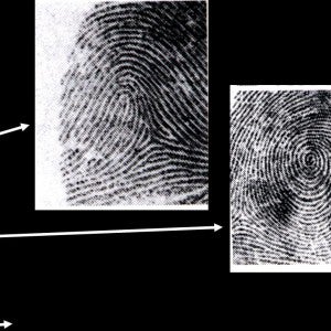 Latent Prints | Rhode Island State Crime Laboratory