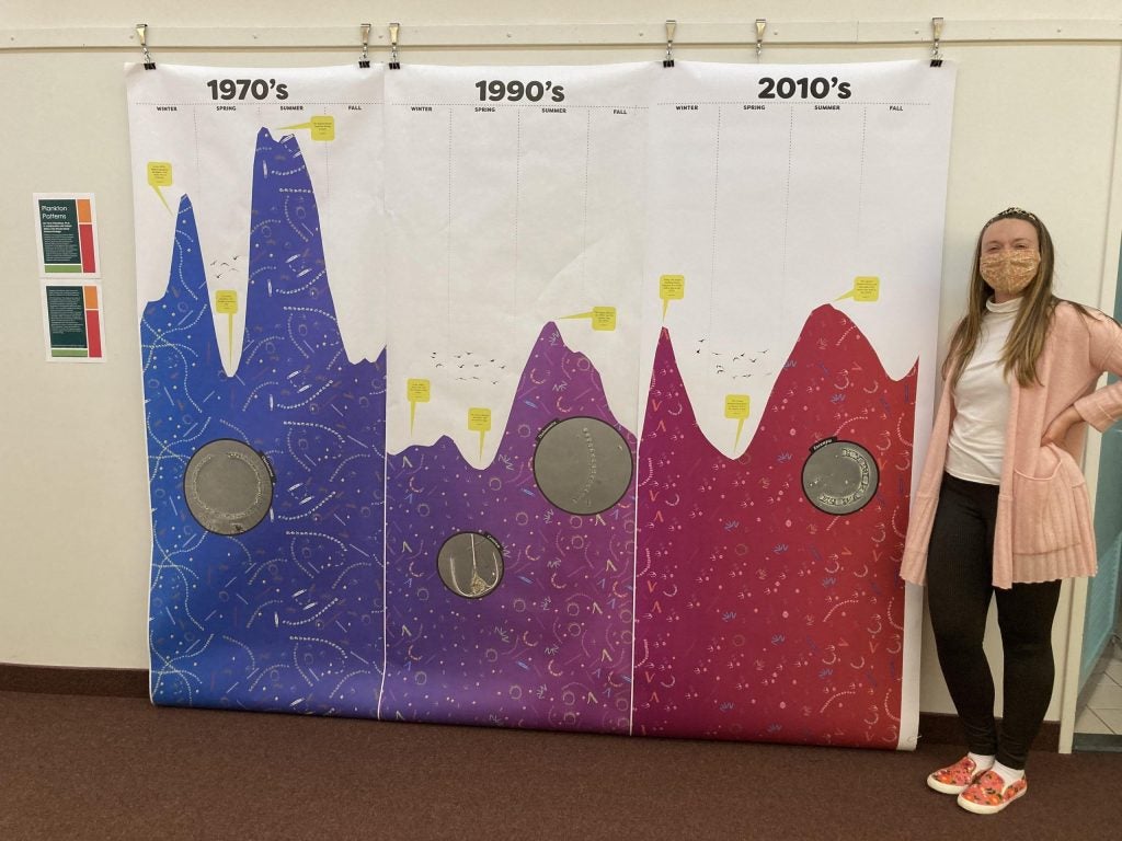 Plankton Patterns – Rynearson Lab