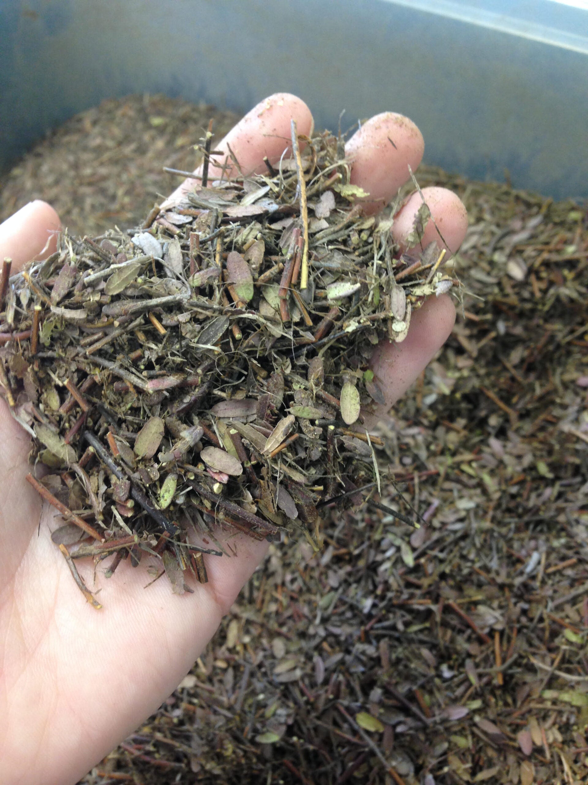 Anti-parasitic effects of Cranberry Extract – Northeast Small Ruminant ...