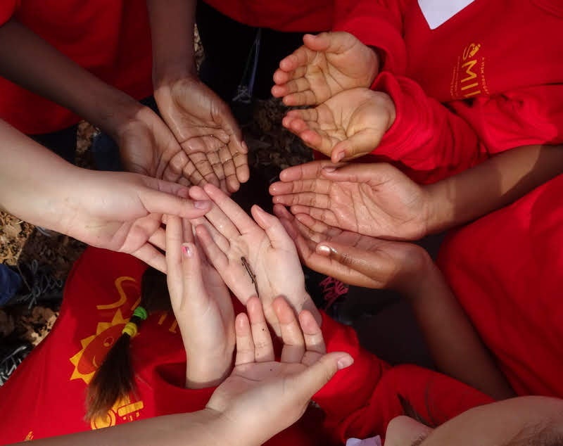 The SMILE Program – Science and Math Investigative Learning Experience