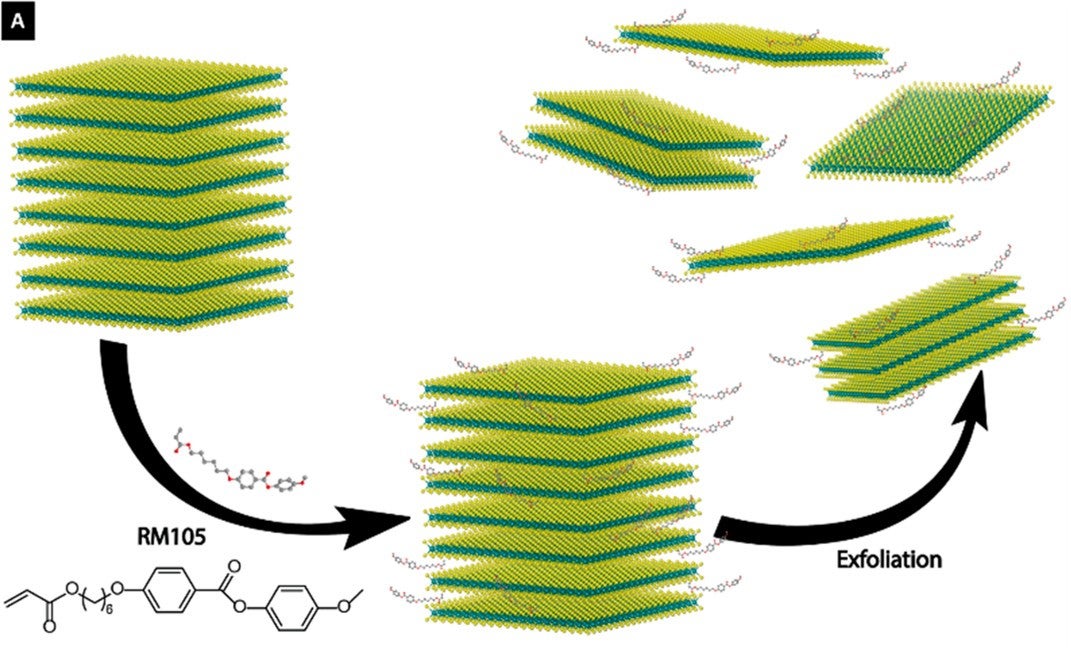 Publications – RPS Lab for Soft Matter Research