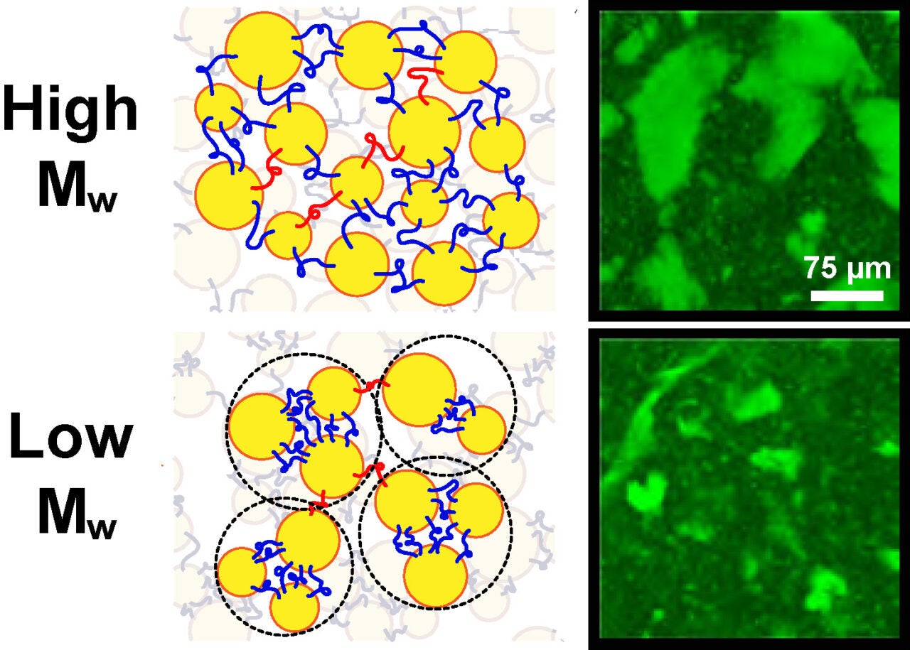 Research – RPS Lab for Soft Matter Research