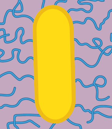 People – RPS Lab for Soft Matter Research