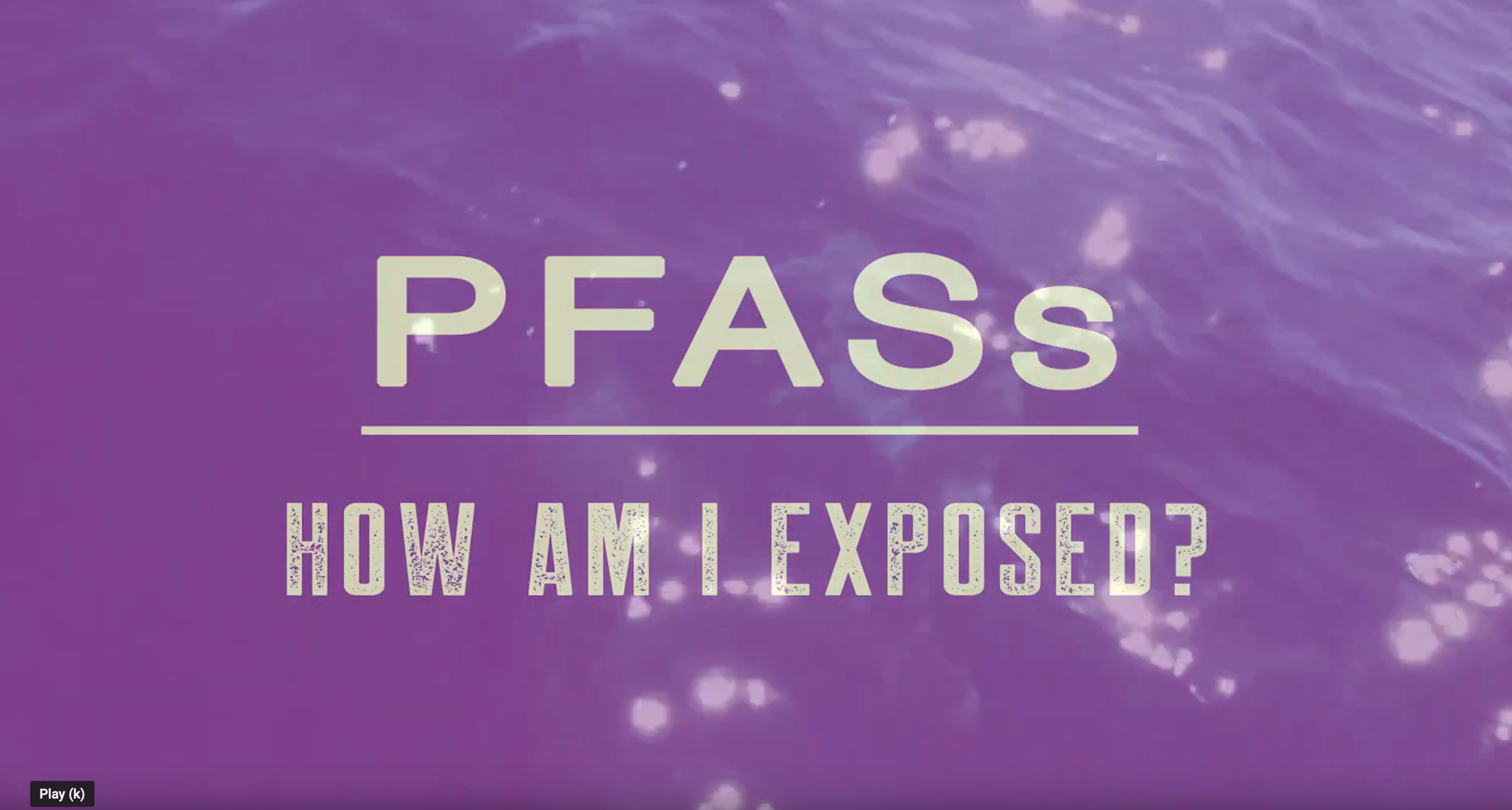 Part 6: PFAS: How Exposed Am I? – STEEP