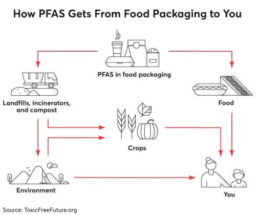 Consumer Reports investigation finds PFAS in food packaging of popular ...
