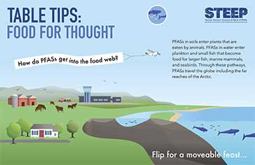 Table Tips: Food for Thought – STEEP