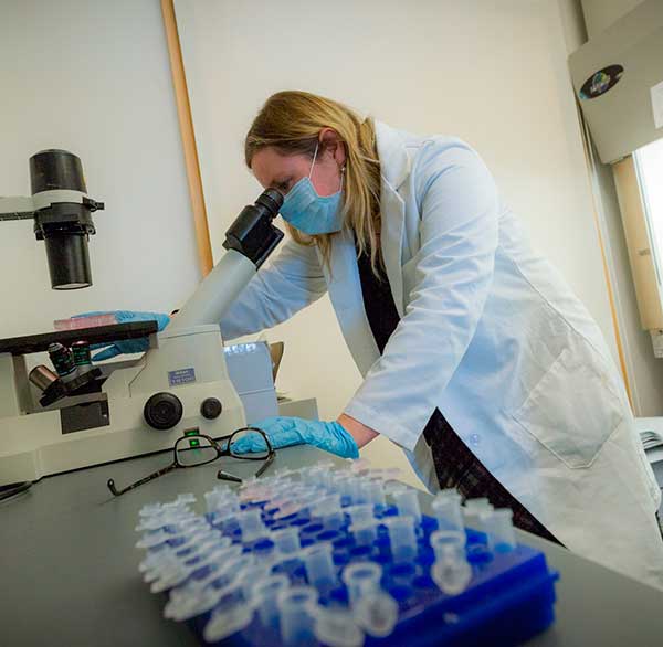 Technology Used to Quantify Gene Expression from PFAS Exposure Used to ...