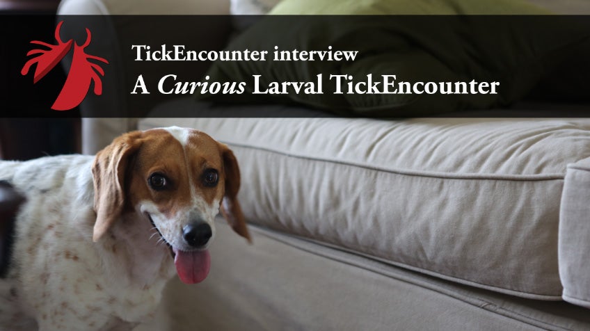 Webinars, Podcasts, & Interviews – TickEncounter